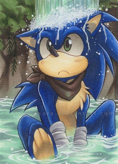 SonicHedgie Sonic Adventure Sonic Sonic Dibujos