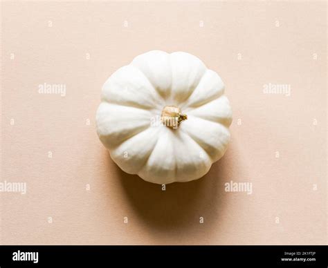 Beautiful Autumn White Pumpkin Background Small White Pumpkin On Beige