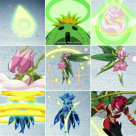 Palmon • Togemon • Lilimon • Rosemon Adventure Tri Anime Digimons