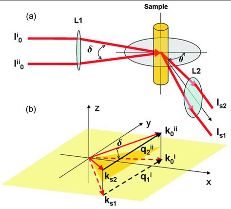 Three Dimensional Cross Correlation Dynamic Light Scattering By Non