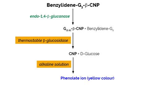 Endo Cellulase Assay Kit Measurement Of Cellulase Megazyme