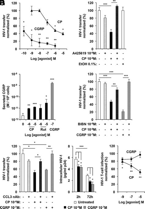 Trpv1 Activation In Human Langerhans Cells And T Cells Inhibits Mucosal