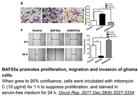 美国APExBIO中文官网 Mitomycin C Inhibits DNA synthesis antibiotic and