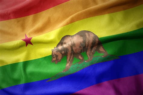 Gay Pride Flag Stock Illustrations 30412 Gay Pride Flag Stock