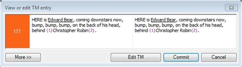 View Or Edit Tm Entry Dialog Memoq