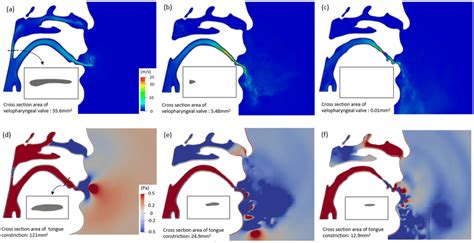 Ac Instantaneous Flow Field And Df Pressure Fluctuation Along Download Scientific