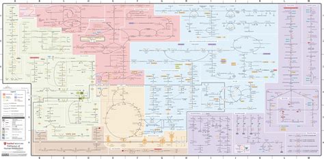 The Effectiveness Of The Metabolic Map In Promoting Meaningful Learning