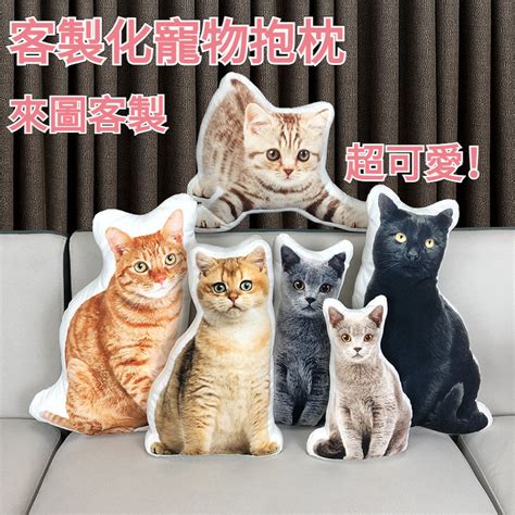【魔法客製】 客製化抱枕 寵物抱枕 醜貓抱枕 抱枕訂製 枕頭 訂做 寵物 貓咪 Diy 咕臣狗 客製 搞怪 醜貓 蝦皮購物