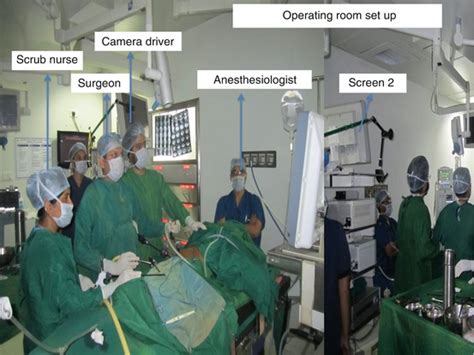 Laparoscopic Left Donor Nephrectomy Transperitoneal Approach Abdominal Key
