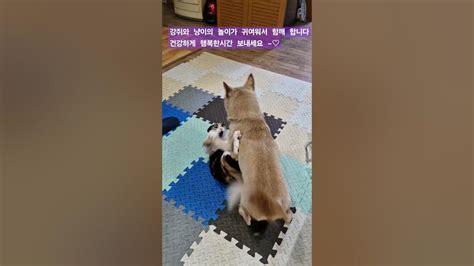 신나게 즐겁게 운동하고 놀아요♡ Youtube