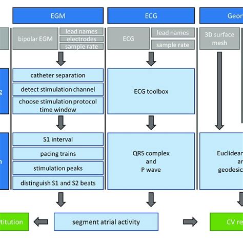 segmentation pipeline for clinical s1s2 protocol measurements