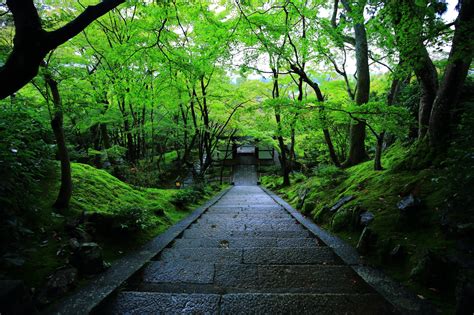 Kyoto Moyou