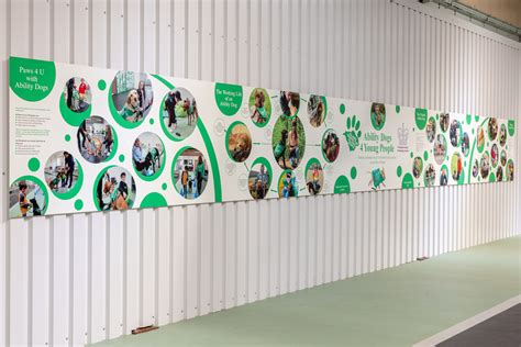 Ability Dogs 4 Young People Altro Case Studies