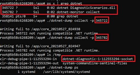 Process 345782 Not Running Compatible NET Runtime Issue 2317