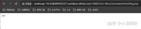 Ctfhub技能树通关教程——ssrf漏洞原理攻击与防御（一）超详细总结 知乎