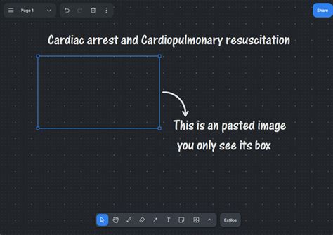 Bug The Beta Version Does Not Show The Pasted Images Only Their Box