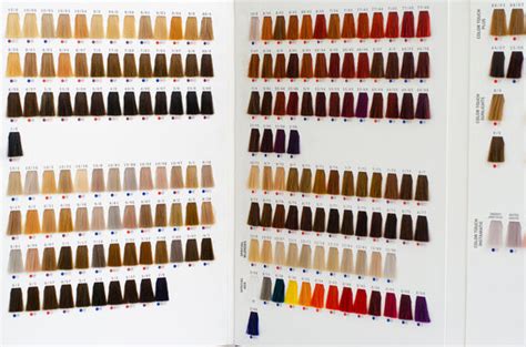 Universal Hair Color Chart
