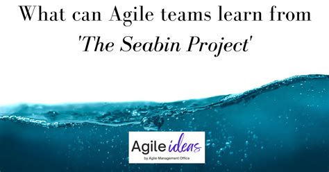 What Agile Teams Can Learn From The Seabin Project