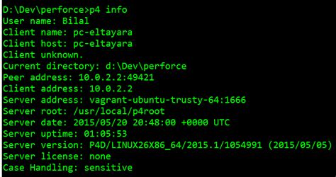 Vagrant Powered Perforce Bilal El Tayara