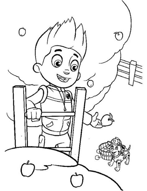 Målarbilder Ryder Paw Patrol