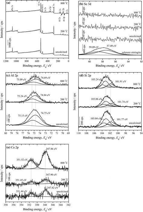 XPS Spectra Of A Wide Scan B Se D C Al P D Si P And E Ca P For