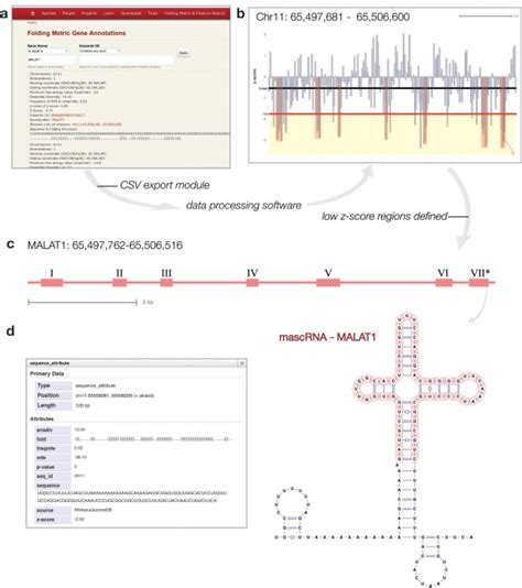 Rnastructuromedb A Genome Wide Database For Rna Structural Inference Scientific Reports