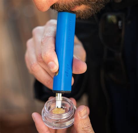 What Is Hash And What Is The Difference Between Hash Vs Wax