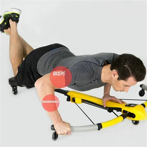 Anti Lateral Flexion Core Exercises Visitchile Cl
