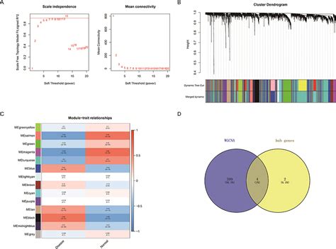 Combining Bulk And Single Cell Rna Sequencing Data To Identify Hub Gen