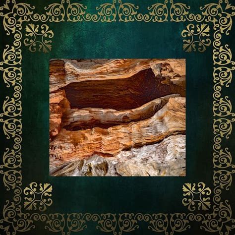 Cedarwood Essential Oil The Purple Ecovillage