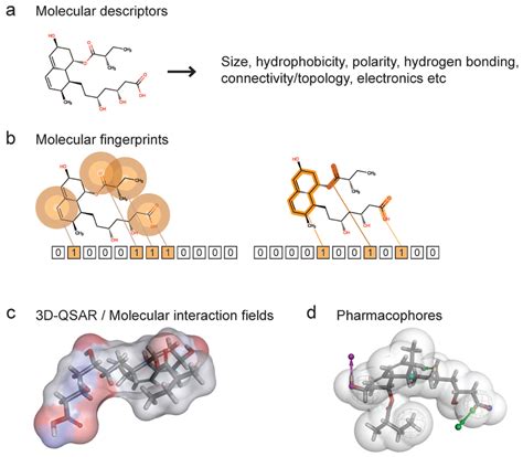 Molecular Modeling Of Drugtransporter Interactions—an International