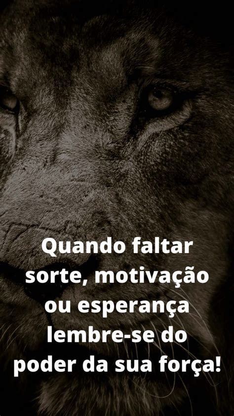 Top Imagens Com Frases Para Whatsapp 006🐈 Descubra O Mundo Do Jogos