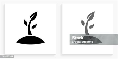 發芽廠黑白廣場圖示向量圖形及更多圖示圖片 圖示 差異 影 Istock