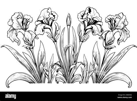 Vintage Floral Vector Illustration Iris Flowers In Art Nouveau Style