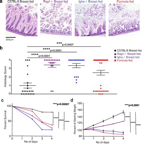 Figure 217 From Maternal Immunoglobulin A Shapes The Early Neonatal