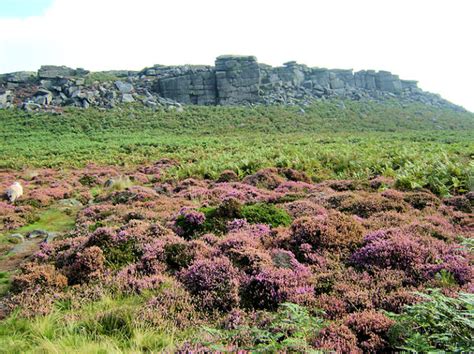 Heavenly Heather Visit The Peak District By Train
