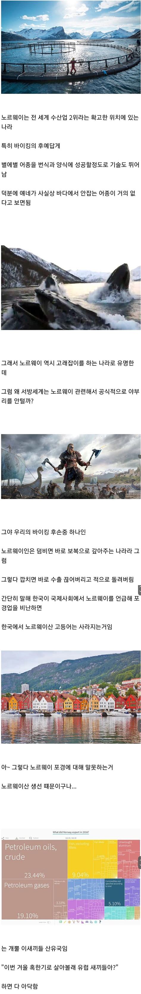 노르웨이 고래잡이에 비난이 없는 이유 인기 게시물 시보드