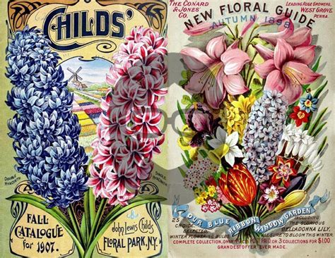 Vintage Seed Catalog Ephemera Printable Paper Pack Set 80 Etsy