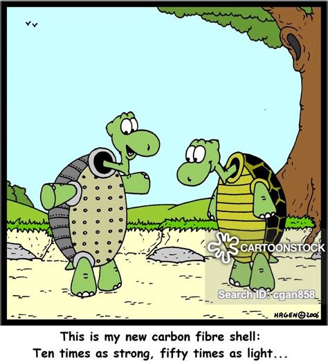 What Dream About Shell Means