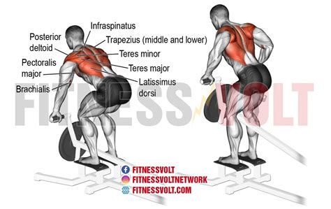 T Bar Row Back Fitness Volt