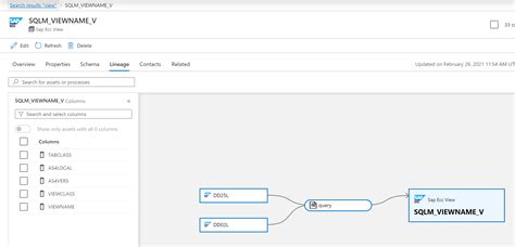 Connect To And Manage An Sap Ecc Source In Microsoft Purview Microsoft Learn