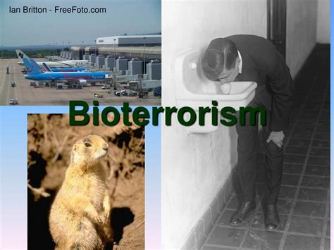 Ppt Bioterrorism Powerpoint Presentation Free Download Id342882