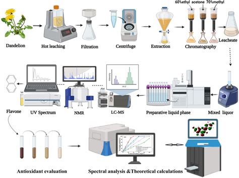 Schematic Diagram Demonstrating Our Research On Extraction