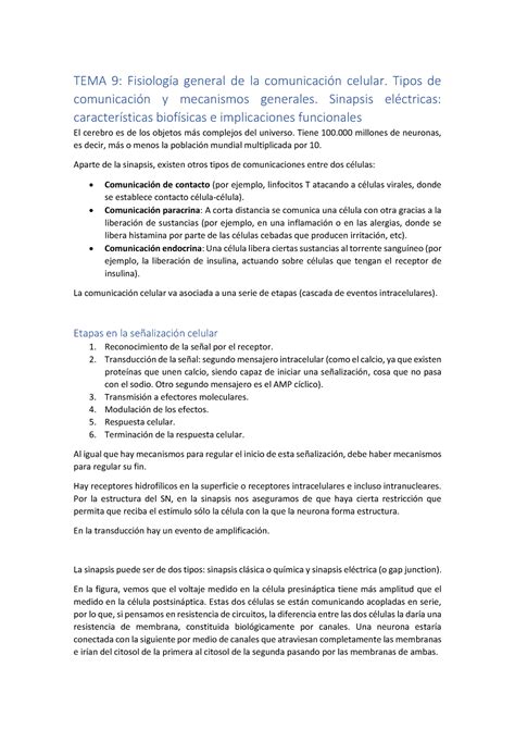 Tema 9 Apuntes 9 Warning Tt Undefined Function 32 Warning Tt