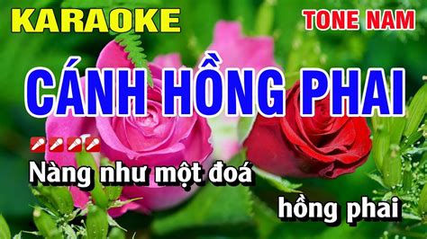 Karaoke Cánh Hồng Phai Tone Nam Nhạc Sống Nguyễn Linh YouTube