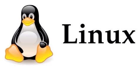 Yusuf Hammed On Linkedin Text Editing In Linux Text Editing In Linux