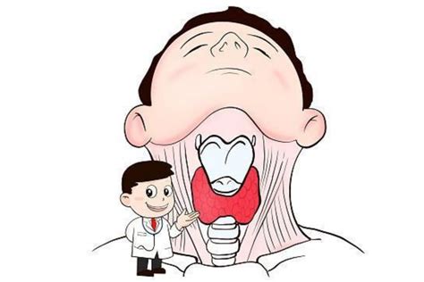 戴维德主任：甲状腺的特点，对身体有什么作用 哔哩哔哩