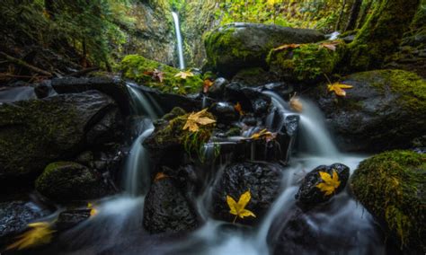 Network Of Oregon Watershed Councils