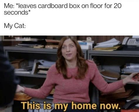 For 20 Seconds