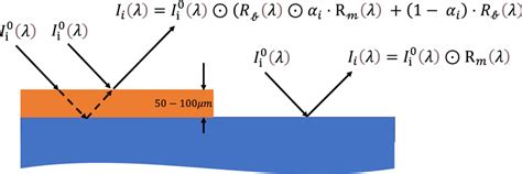 Left An Illustration Of The Nonlinear Mixing Between The Reflectance Download Scientific